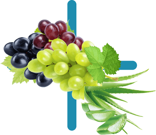 Magnesia Plus - Magnesia, sila prírodného horčíka